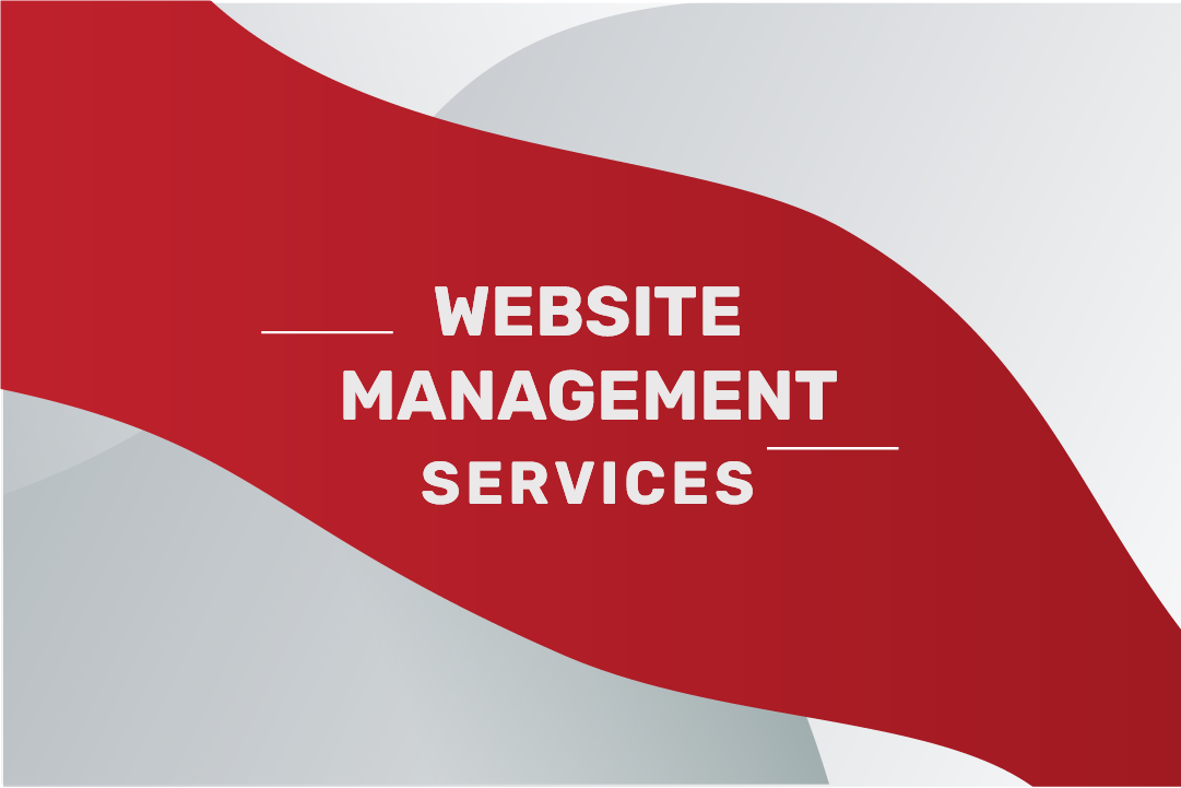 Leading Website Management Service Provider Agency | Digital Covet